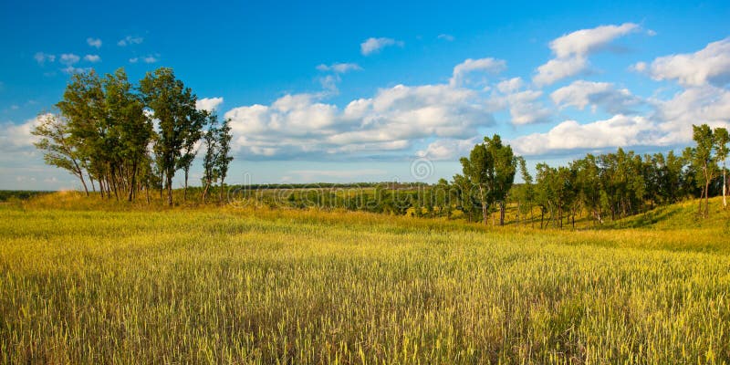 Dirty land stock photo. Image of vertical, clouds, dirt - 12950558
