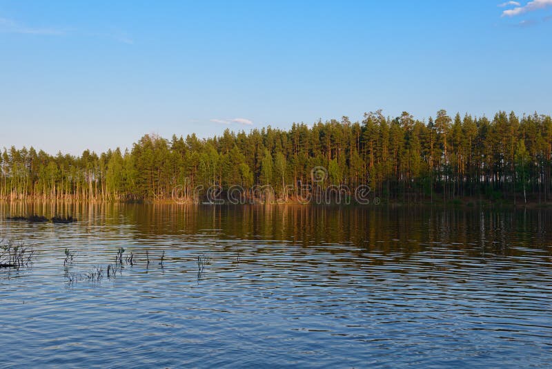 Evening Landscape with Lake Water Surface Overlooking the Forest Stock ...