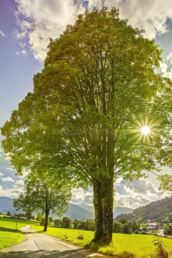 Summer evening landscape stock image. Image of hill, landscape - 77929621