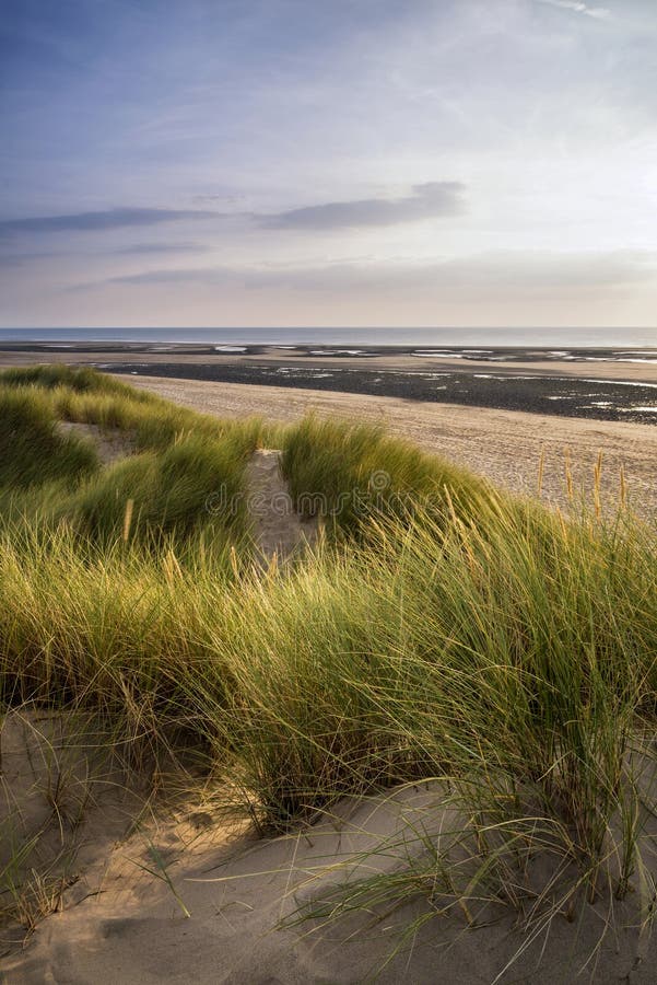 Grassy Sand Dunes Landscape at Sunrise Stock Photo - Image of clouds ...