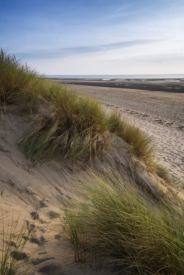 Summer Evening Landscape View Over Grassy Sand Dunes on Beach Stock ...