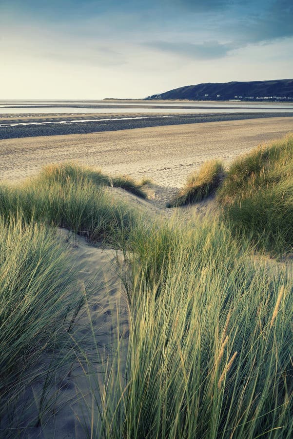 Summer Evening Landscape View Over Grassy Sand Dunes on Beach Wi Stock ...