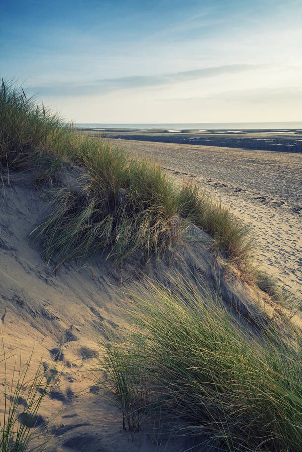 Summer Evening Landscape View Over Grassy Sand Dunes on Beach Wi Stock ...
