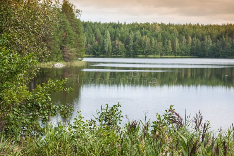 Summer Evening Scene At Ruunaa Hiking Area, Finland Stock Image - Image ...