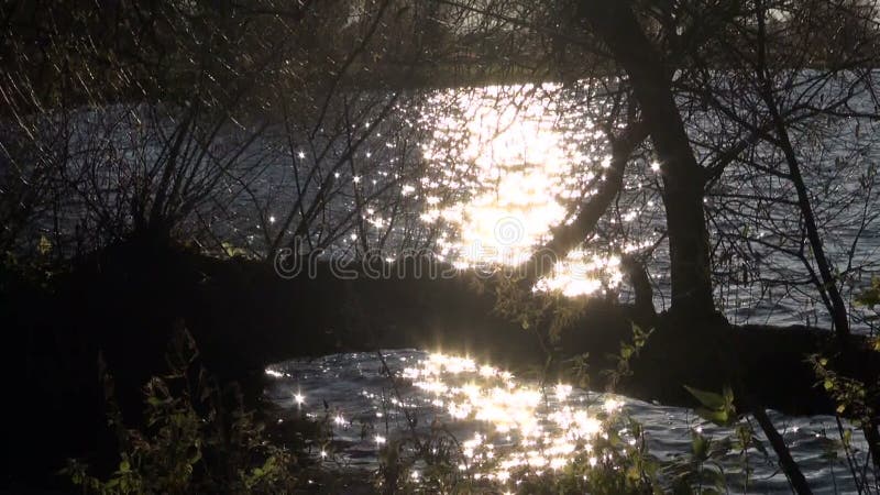 Sunlight Sparkling on Water Surface. Sun Leaks Reflection and Sparkles ...