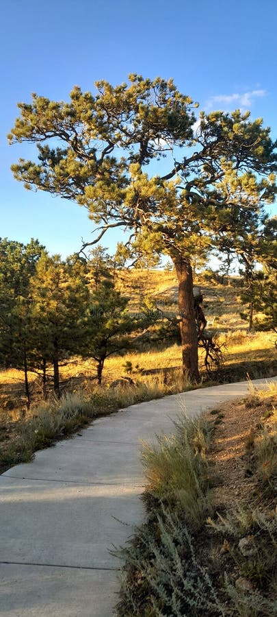 Summer Fall Colors Curt Gowdy State Park Cheyenne Wyoming Scenic ...