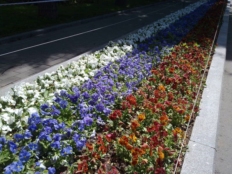 Summer and Fall Landscape with Objects of Nature Stock Photo - Image of ...