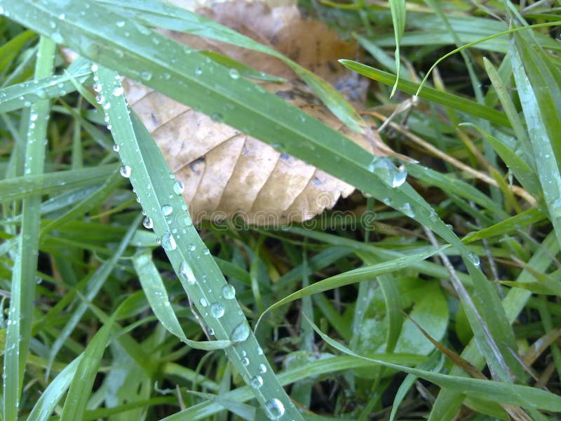 Summer and Fall Landscape with Objects of Nature Stock Photo - Image of ...