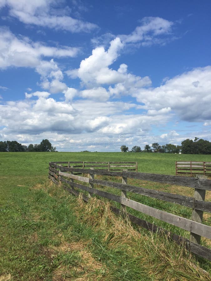 Summer on the farm stock photo. Image of farm, summer - 70272394