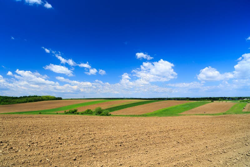 Summer farmland landscape stock image. Image of land - 54028905