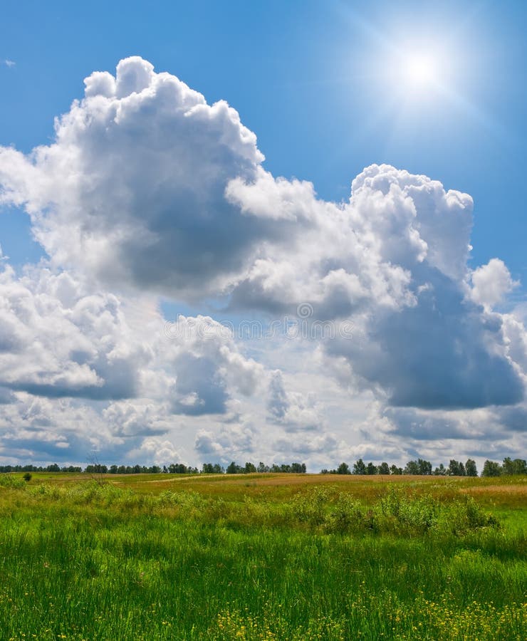 Summer field stock image. Image of field, beauty, blue - 32894169