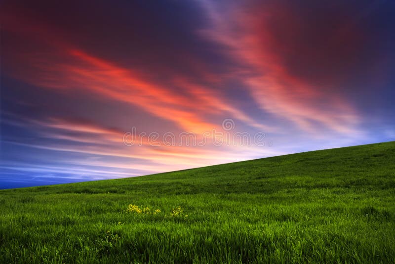 Summer Field with Dramatic Sky Stock Image - Image of farm, garden ...