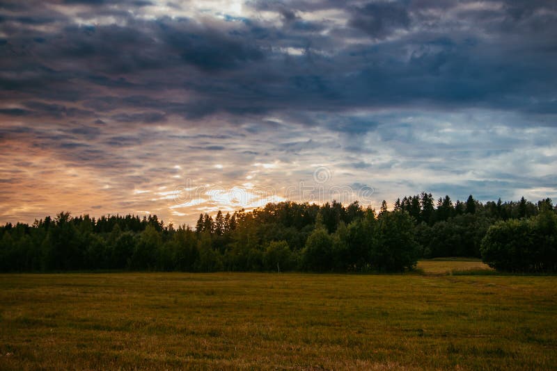 Summer Field Landscape. Russian Open Spaces. Field and Sky Field ...