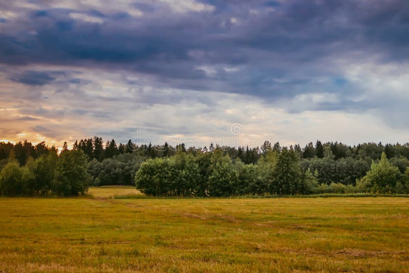 Summer Field Landscape. Russian Open Spaces. Field and Sky Field ...