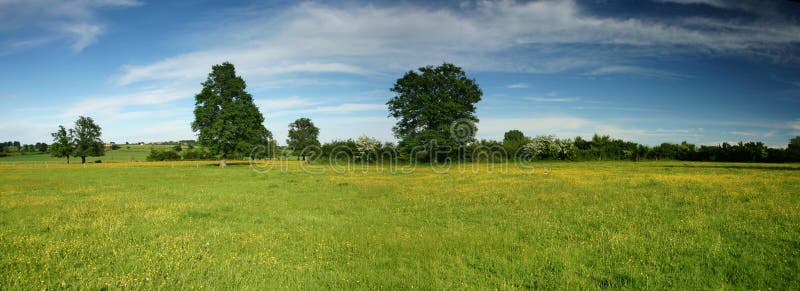 Summer field panorama stock photo. Image of summer, idyllic - 2619548