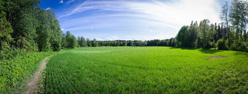 Summer Field Panorama stock photo. Image of rural, finland - 29147876