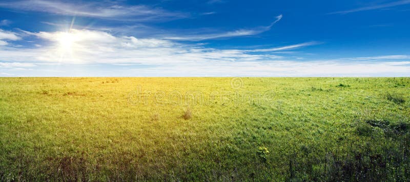 Summer field panorama stock photo. Image of evening, landscape - 35862982