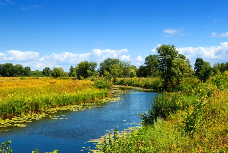 Summer field with river stock image. Image of horizon - 21615321