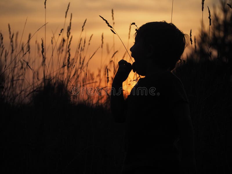 Summer Field Sunset Child Game Sun Rays Evening Night Stock Image ...