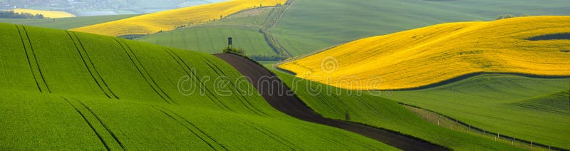 Summer Fields in the Evening Stock Image - Image of nature, hill: 72323289
