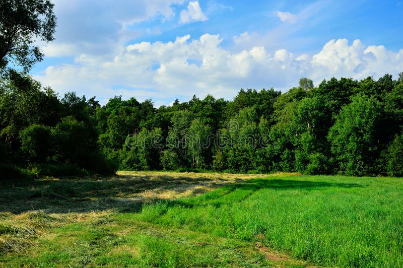Summer Fields Forest and Roads Under a Blue Sky with White Clouds on a ...