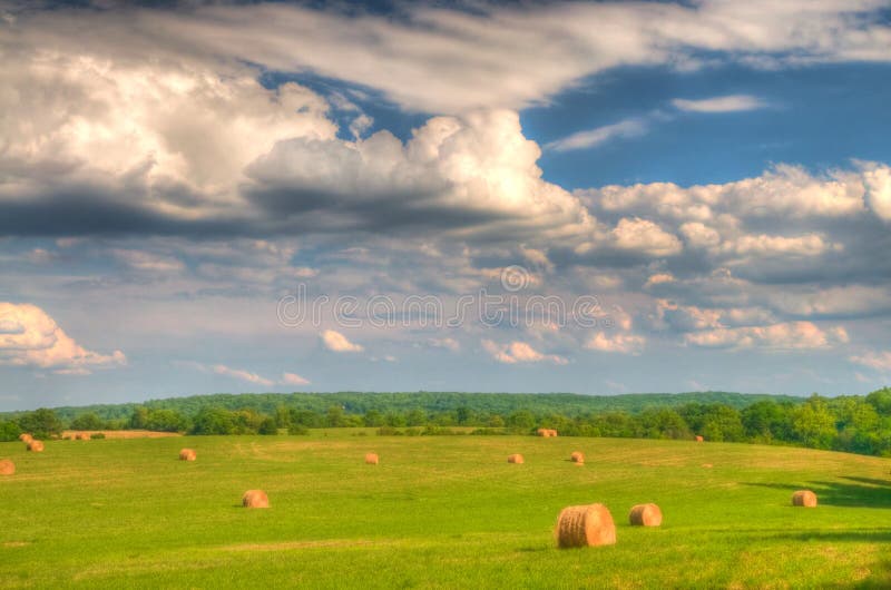Summer fields in Virginia stock image. Image of harvest - 10406573