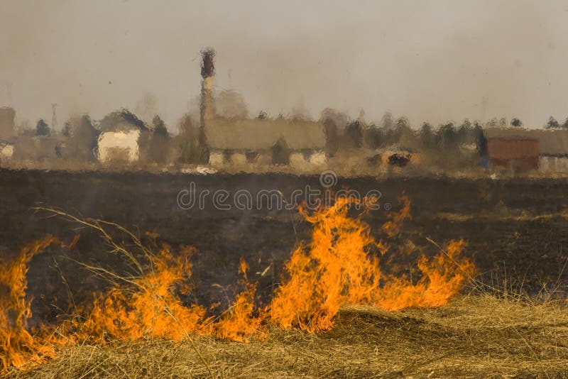 Summer fire stock image. Image of farm, loss, agriculture - 65251117