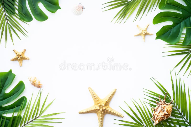 Summer Flat Lay Background Tropical Leaves on White. Stock Photo ...
