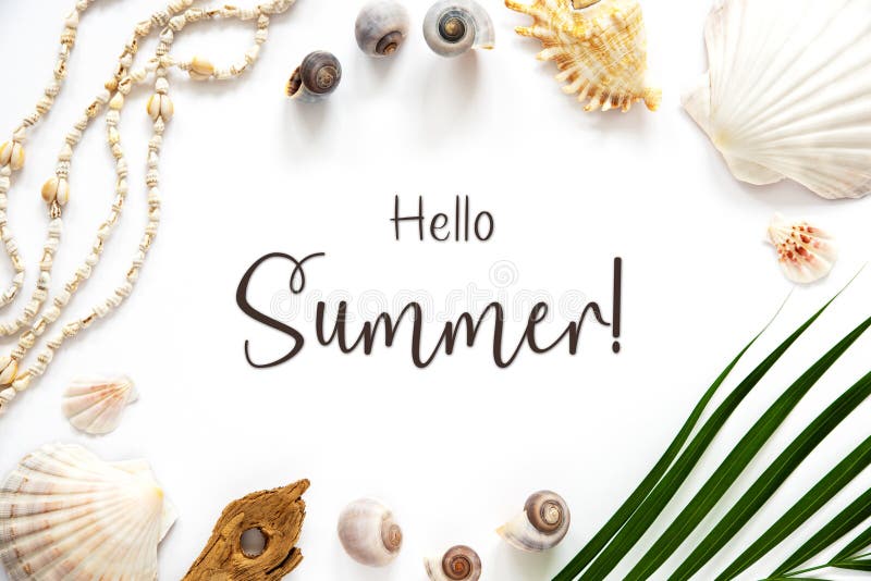 Summer Flat Lay White, Shells and Plants, Summer Background, Text Hello ...