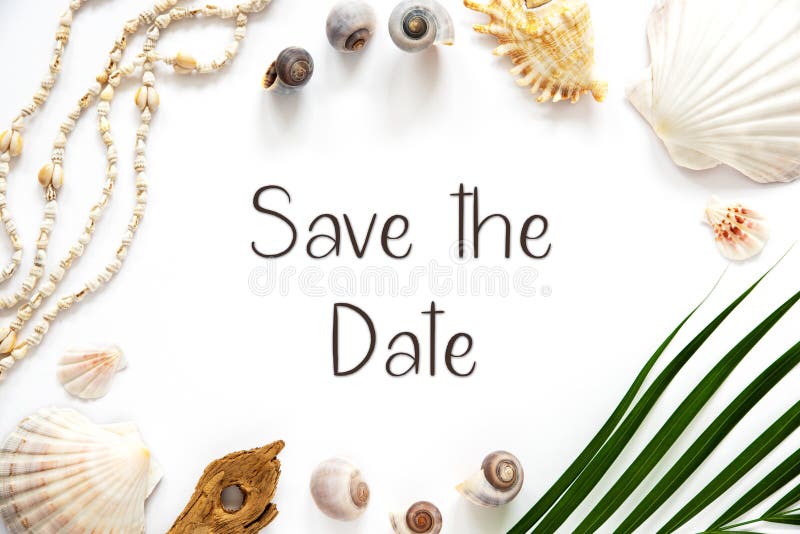 Summer Flat Lay White, Shells and Plants, Summer Background, Text Save ...