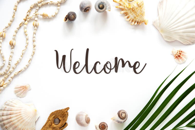 Summer Flat Lay White, Shells and Plants, Summer Background, Text ...