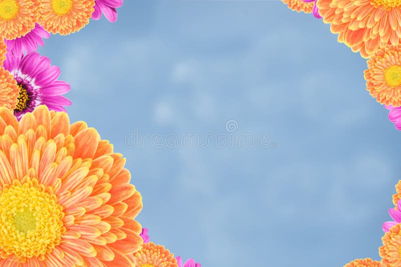 Summer Flower Frame Picture. Image: 5463953