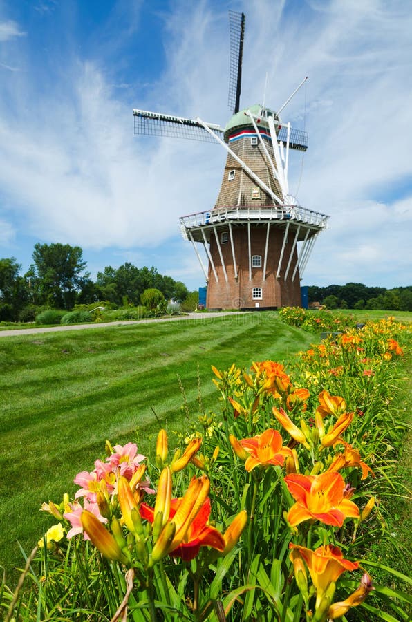 Summer Flowers with Duch Windmill on Background Stock Image - Image of ...