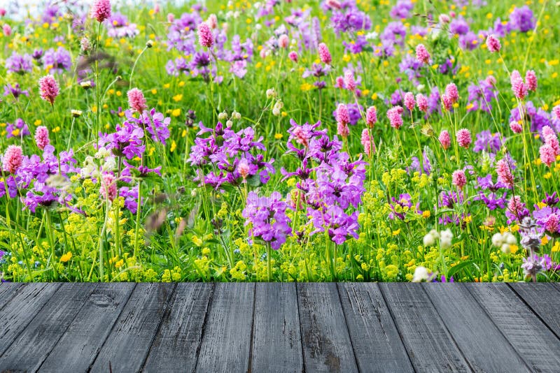 Summer Flowers Field and Empty Wooden Table Stock Photo - Image of ...