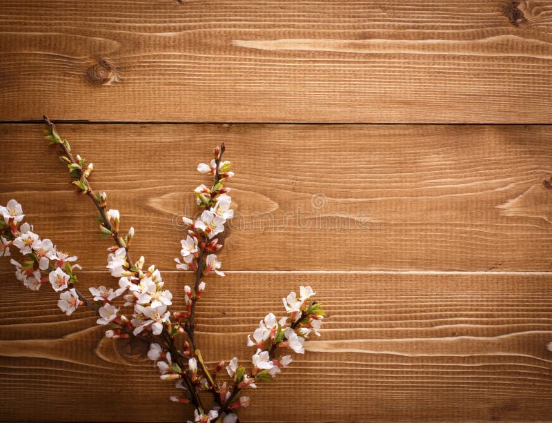 Wood Texture Flowers Stock Images - Download 34,387 Royalty Free Photos