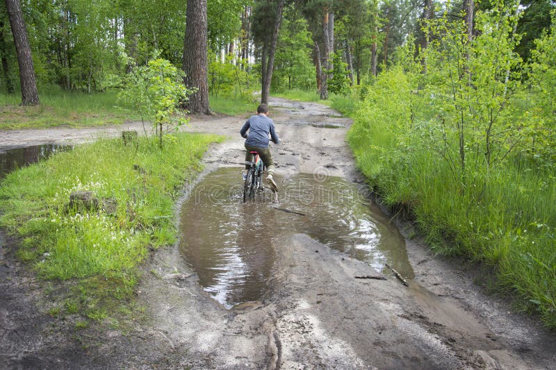 In the Summer in the Forest, a Boy Rides a Bicycle through a Puddle ...