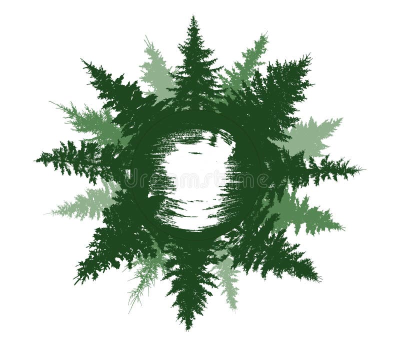 Summer Forest on Circle, Beautiful Green Spruce Trees. Silhouettes of ...