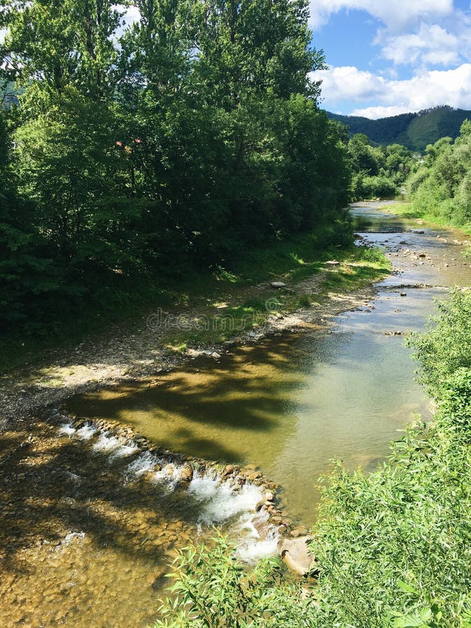 In Summer Forest Mountain Stream Stock Image - Image of flowing, flow ...