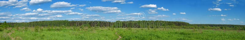 Summer forest panoramic stock image. Image of june, panoramic - 20654859