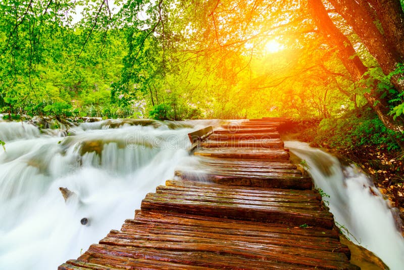 Summer Forest Pathway in Plitvice National Park Stock Photo - Image of ...