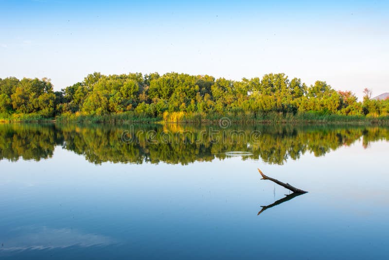 Summer Forest River Reflection Landscape. Forest River Reflection View ...