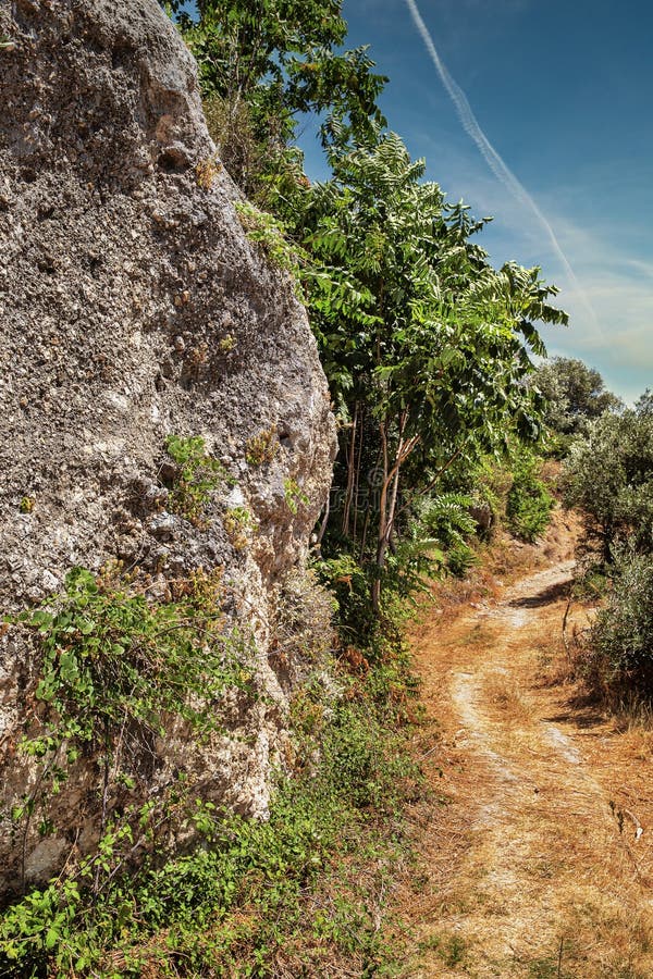 Forest Road in the Mountains on Corfu Island, Greece Stock Image ...