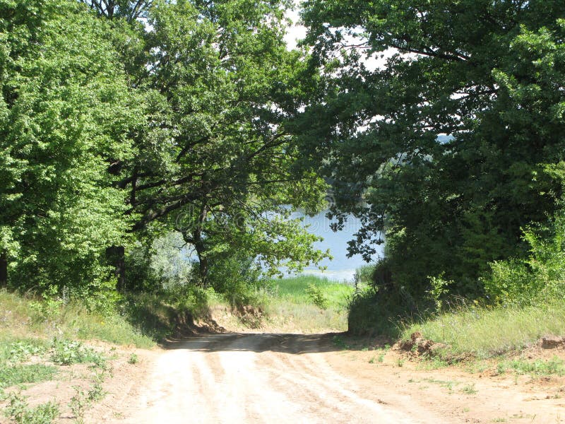 Summer forest road stock image. Image of summer, forest - 148352525