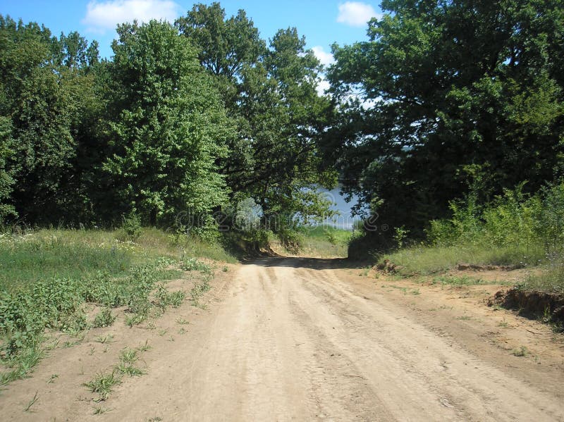 Summer forest road stock photo. Image of calm, territory - 148356182
