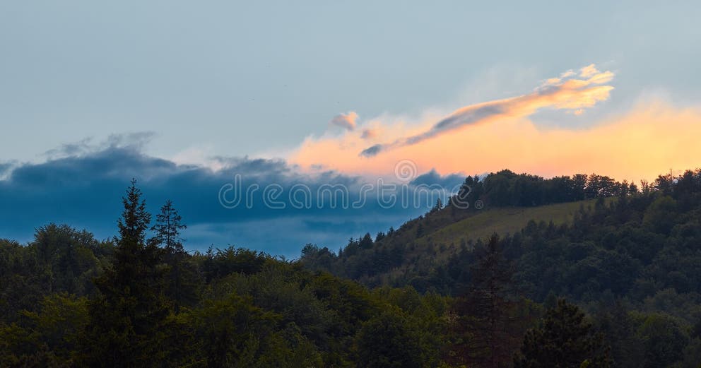 Scenic View of a Summer Sunset. Forest in the Foreground Stock Photo ...