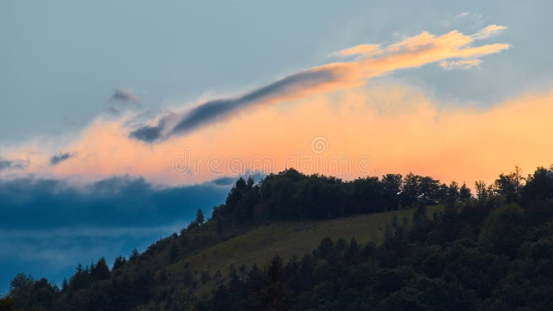 Scenic View of a Summer Sunset. Forest in the Foreground Stock Image ...