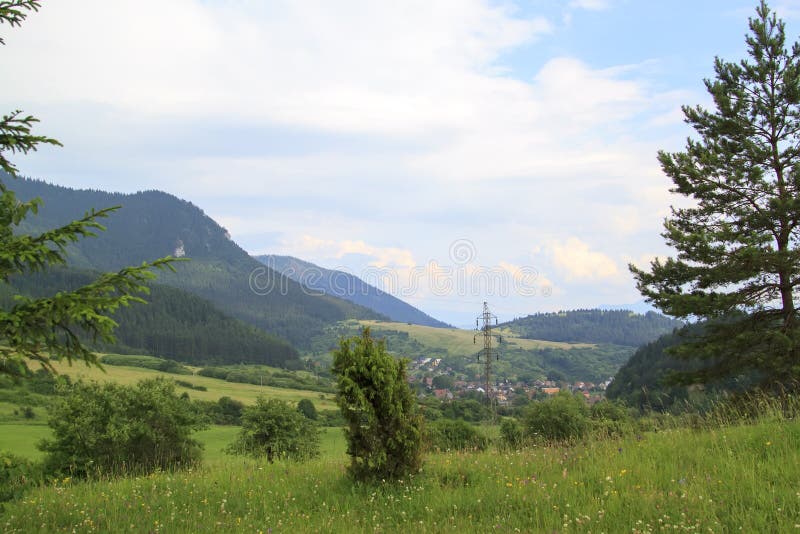 Summer Forrest, Meadows and Fields Countryside Landscape in Slov Stock ...