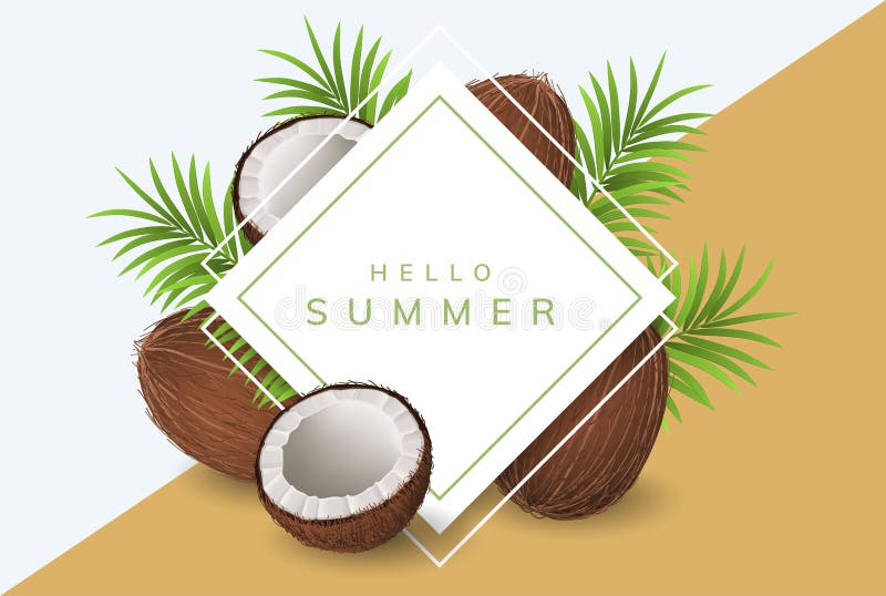 Summer Frame with Coconut and Palm Leaf Stock Vector - Illustration of ...