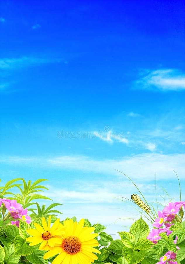 Summer frame stock photo. Image of cloud, background - 30353614