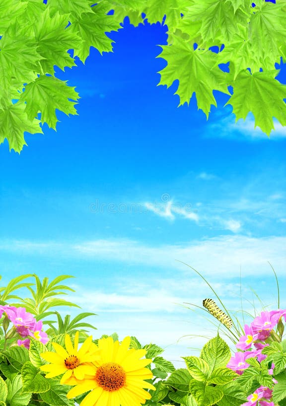 Summer frame stock image. Image of insect, caterpillar - 30353637